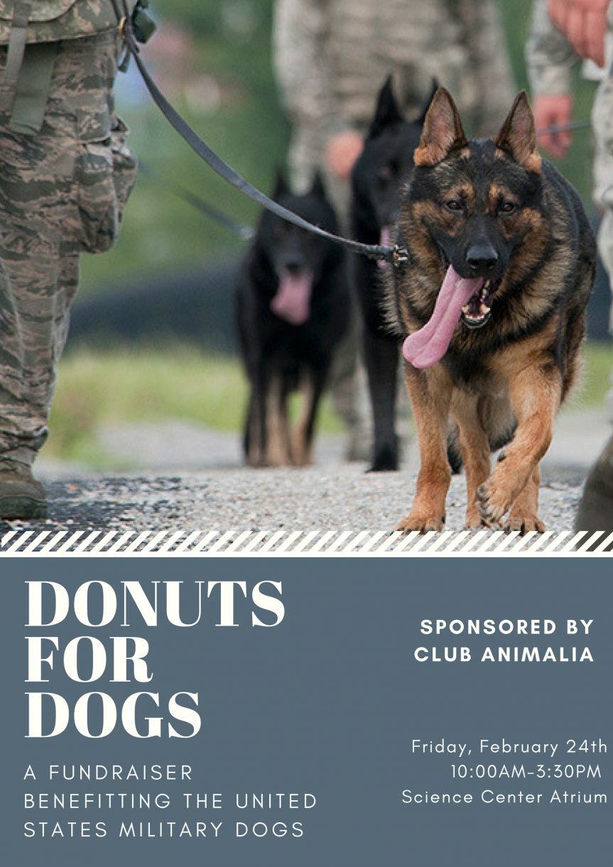 sponsored-by-club-animalia – inHope