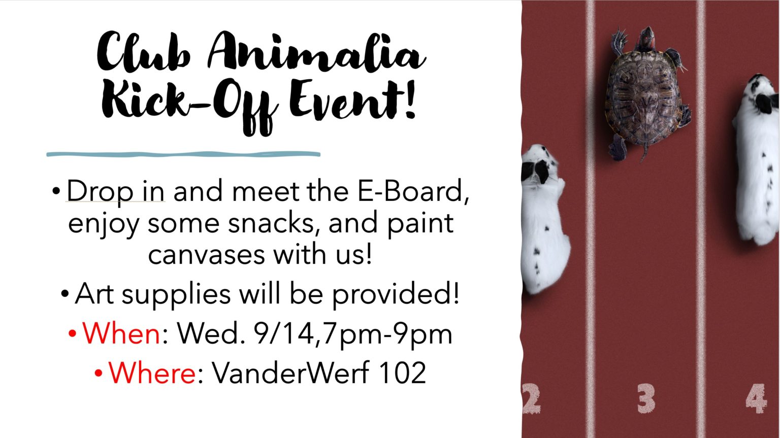 Club-Animalia-Kick-Off-Event – inHope